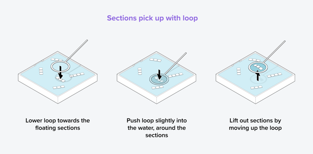 Array tomography workflow: tips and tricks on section handling from researchers in the field
